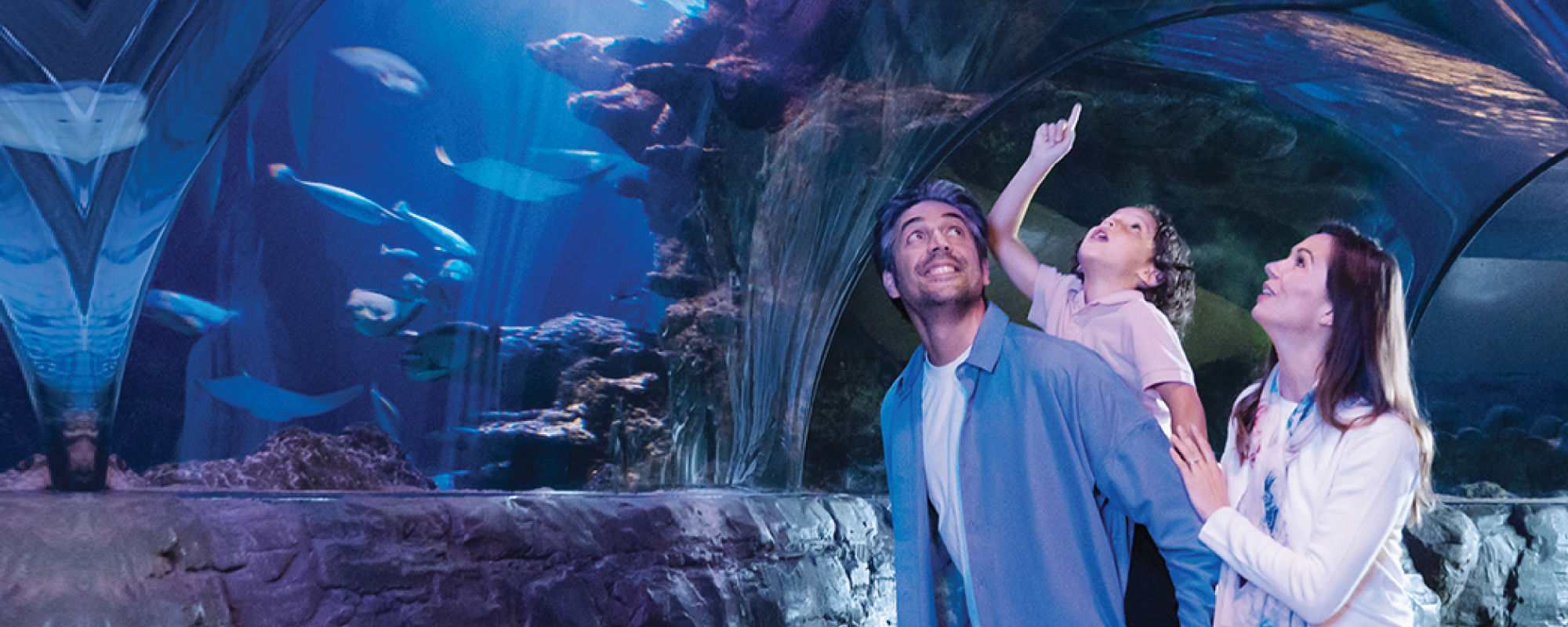 Teacher Appreciation Free Entry | SEA LIFE Arizona Aquarium