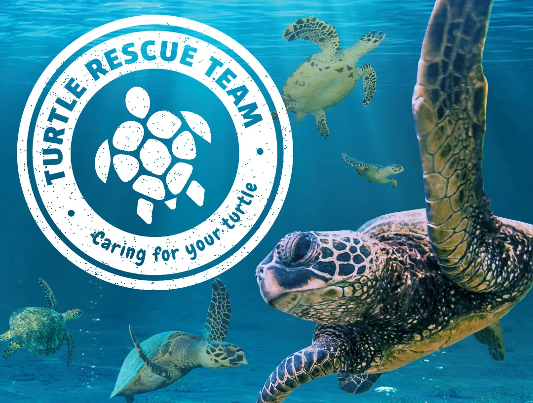 Phoenix Spring Break Activity | SEA LIFE Arizona Aquarium