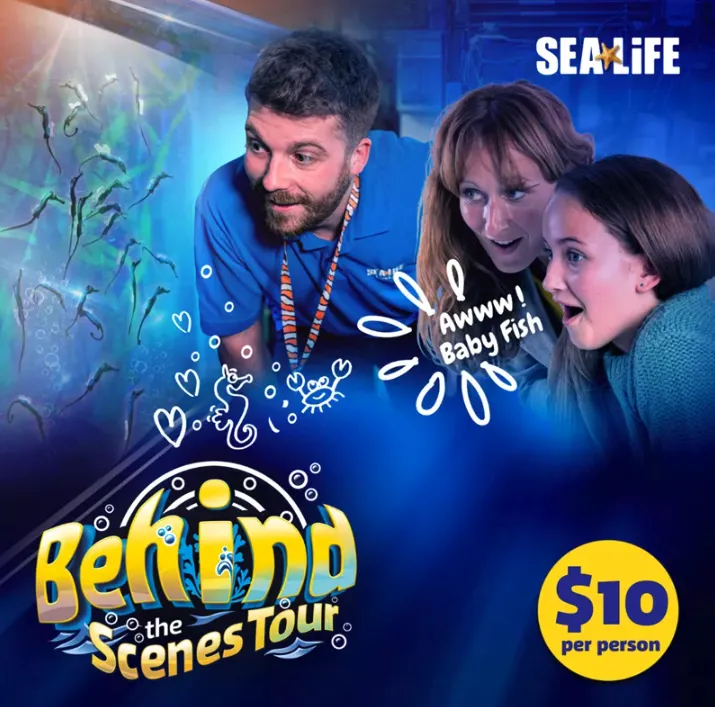 All New Behind the Scenes Tour | Sea Life Arizona
