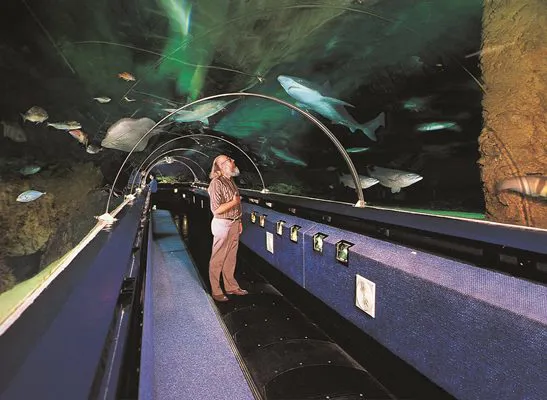 Auckland Aquarium - SEA LIFE Kelly Tarlton's Aquarium