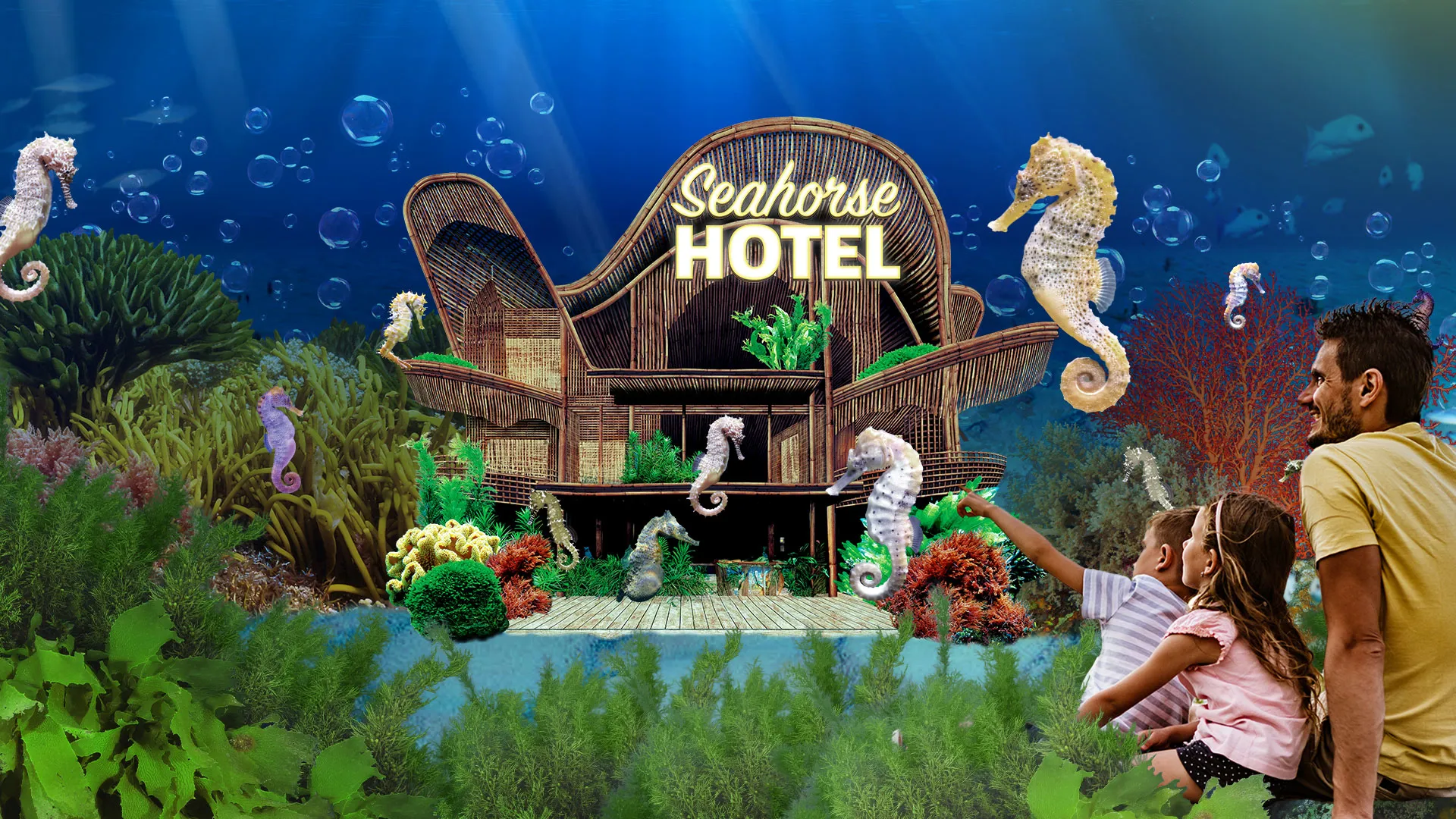 Auckland Aquarium - SEA LIFE Kelly Tarlton's Aquarium