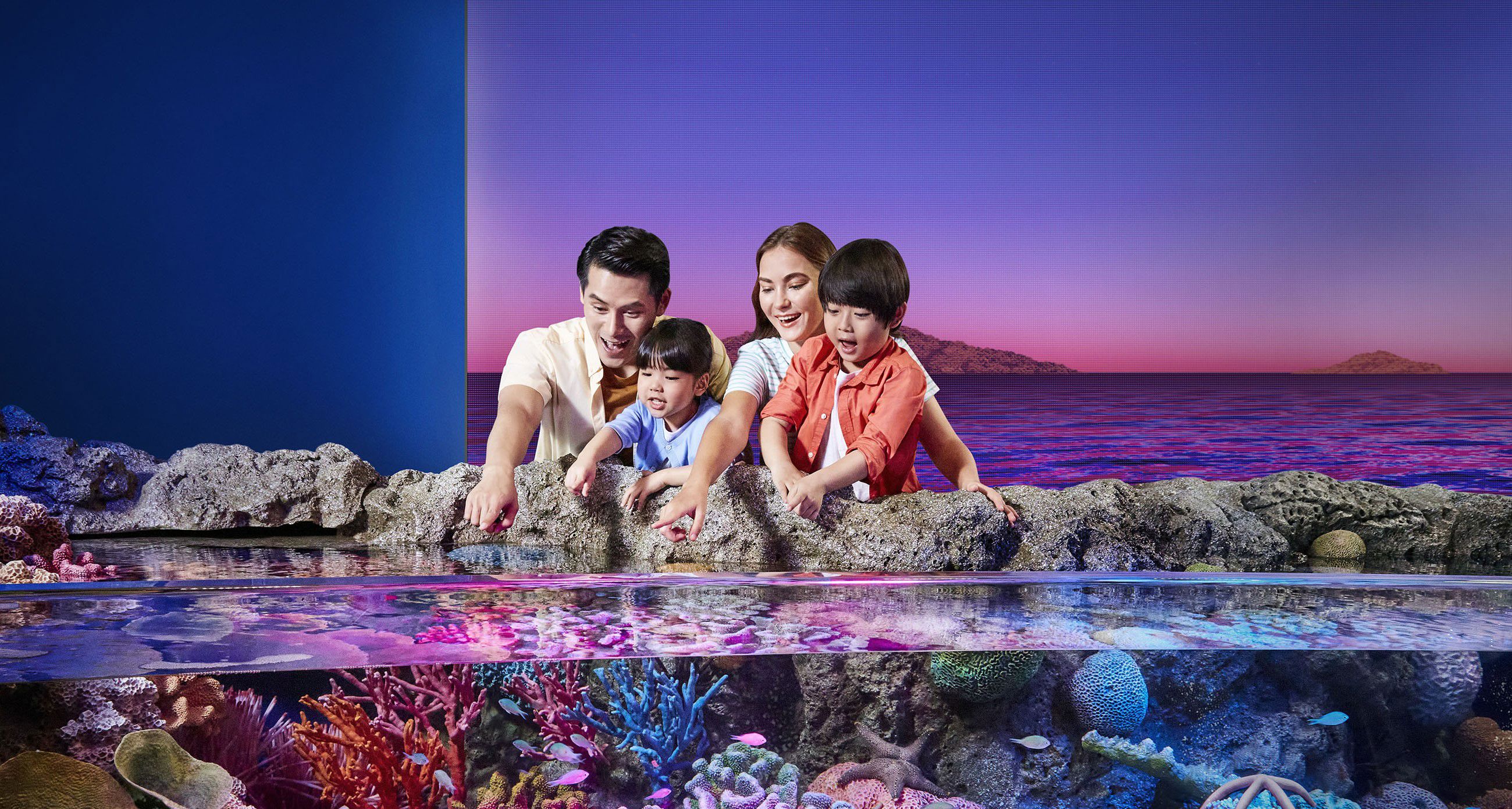 Rockpool Explorer | SEA LIFE Bangkok Ocean World