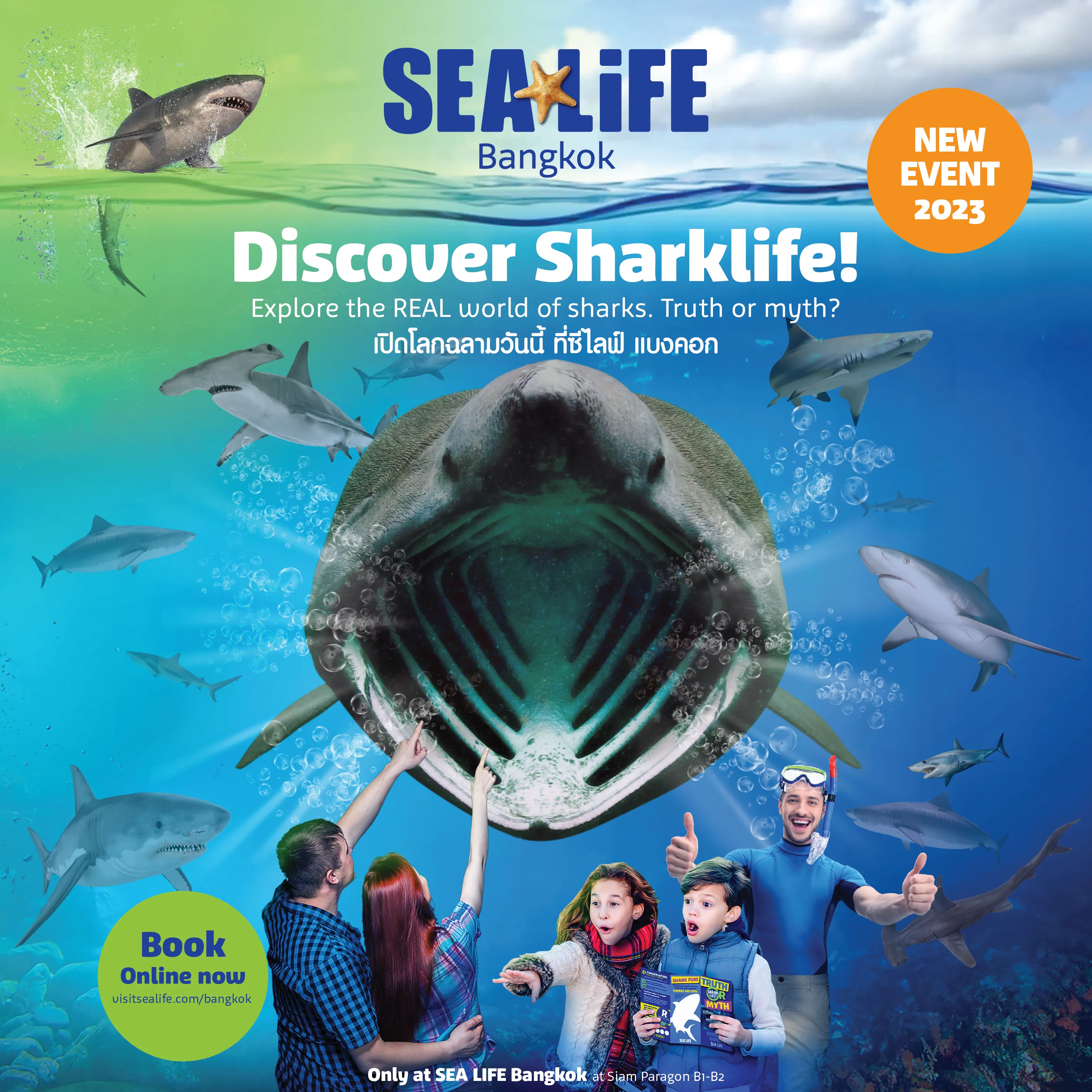 Shark's Life l SEA LIFE Bangkok Ocean World