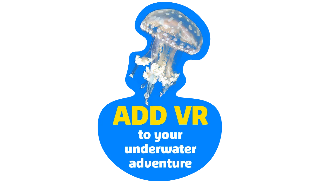 Plan a Visit | National SEA LIFE Centre Birmingham Aquarium