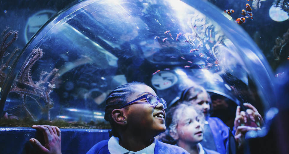 Booking Your School Visit | National SEA LIFE Centre Birmingham