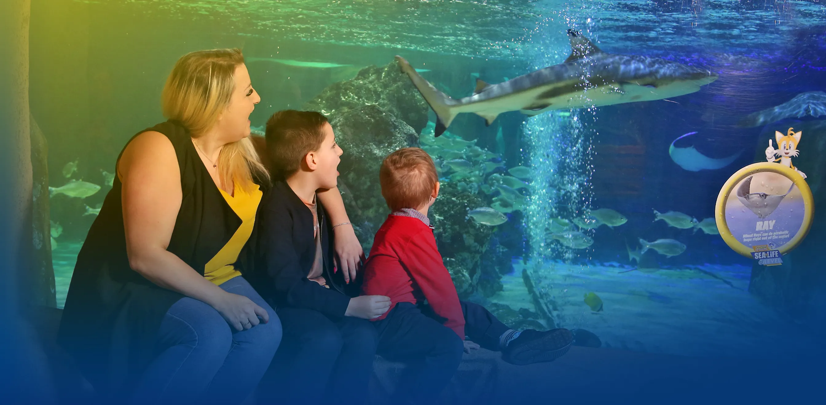 Visit SEA LIFE Blackpool Aquarium