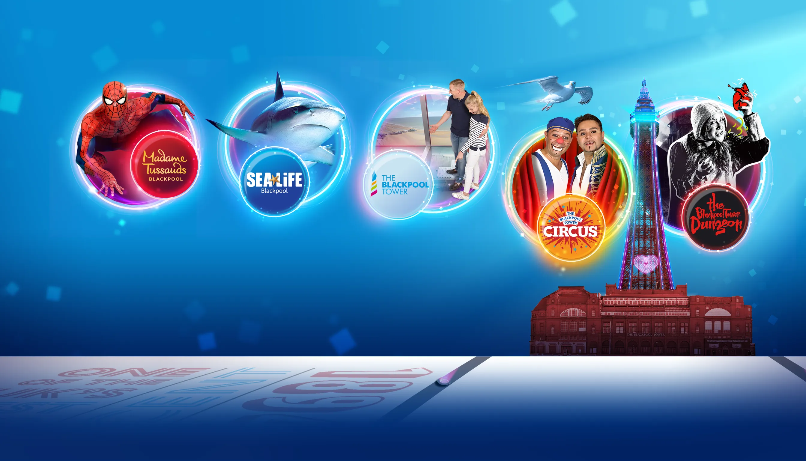 Local Blackpool Aquarium | SEA LIFE Blackpool