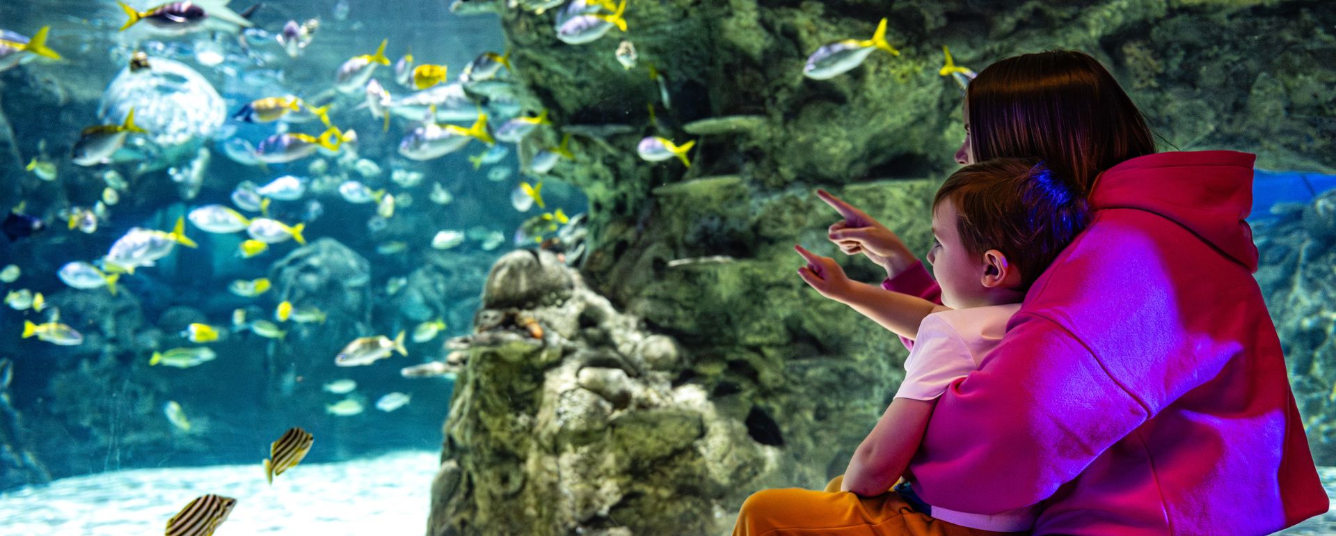 Sensory-friendly day