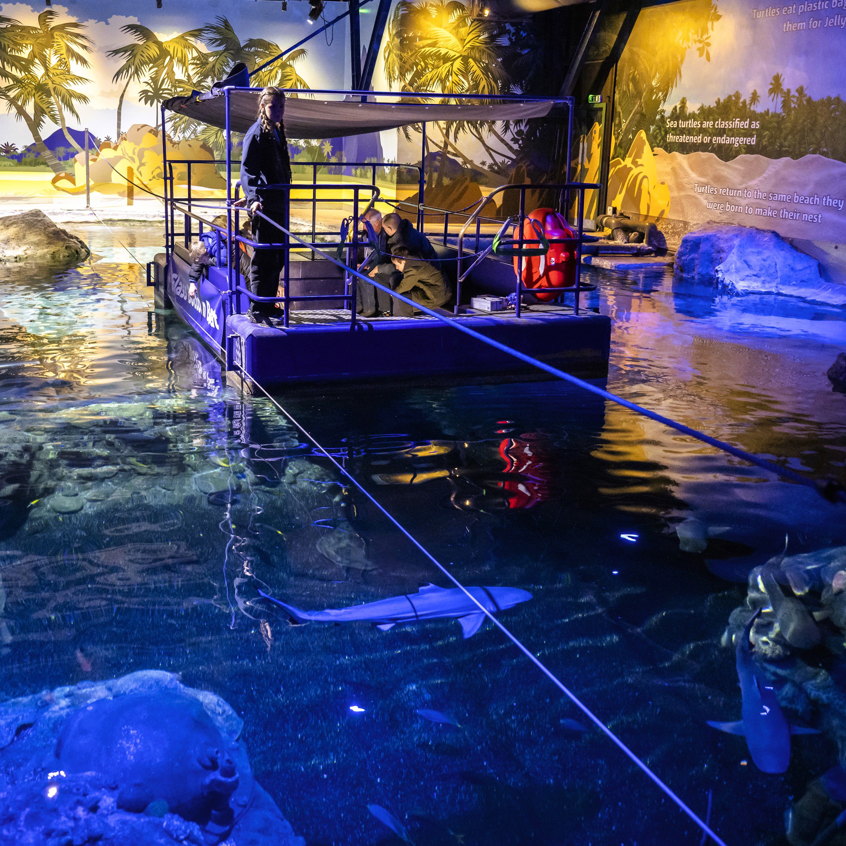 Glass Bottom Boat Experience | SEA LIFE Brighton Aquarium