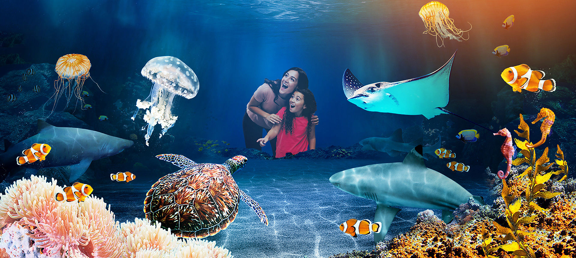 Plan Your Visit | SEA LIFE Brighton Aquarium