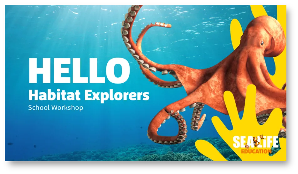 Education Programs | SEA LIFE Charlotte - Concord Aquarium