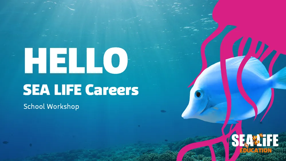 Education Programs | SEA LIFE Charlotte-Concord