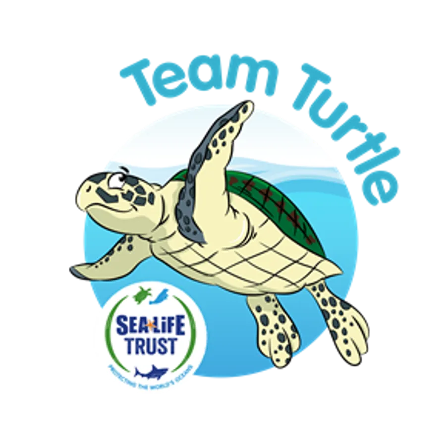 Rescuing Sea Turtles | SEA LIFE Charlotte - Concord