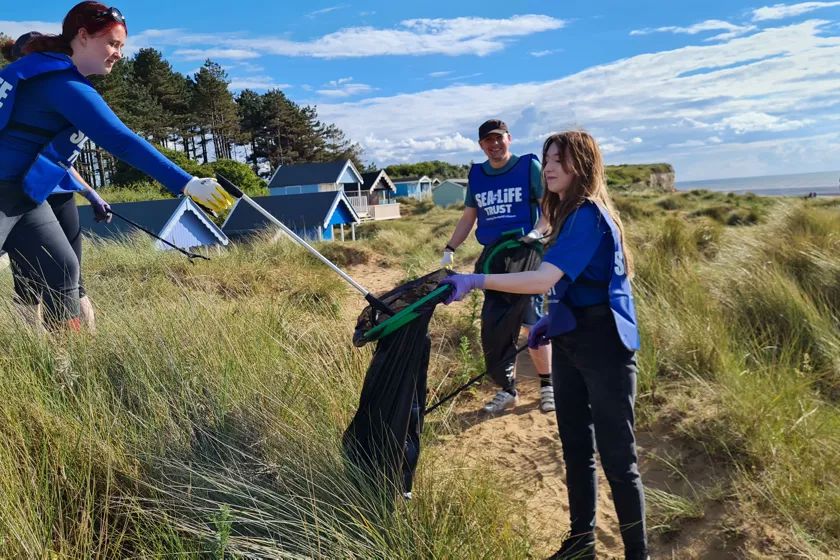 Worldwide Beach Cleans | 씨라이프 코엑스 아쿠아리움