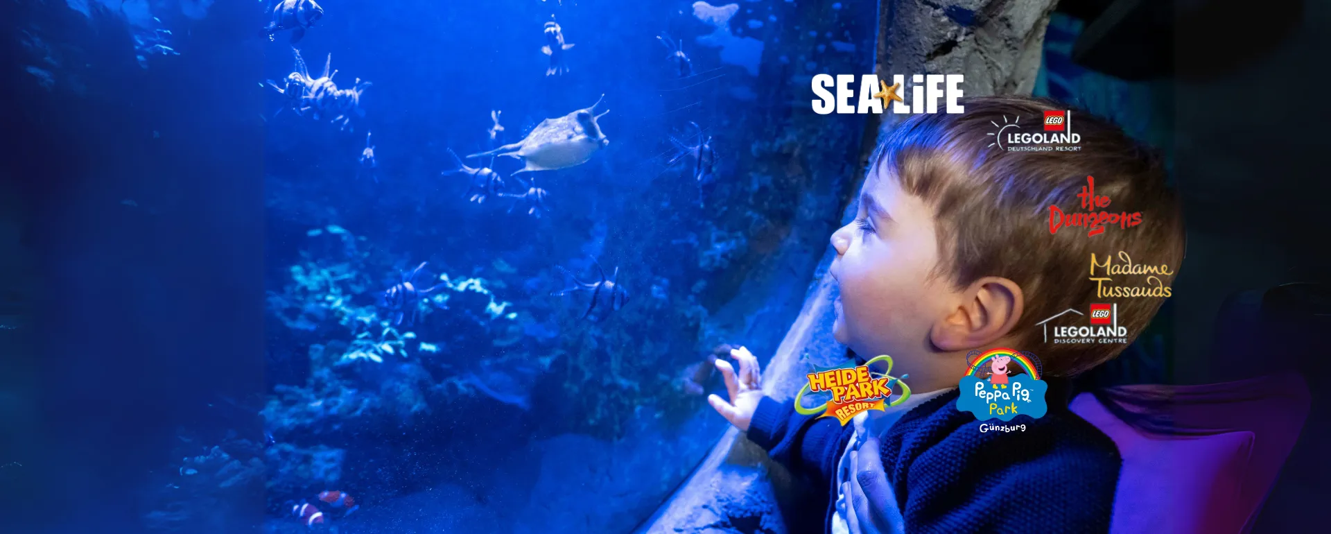 Sea Life Rabatt 2 Fur 1 2024