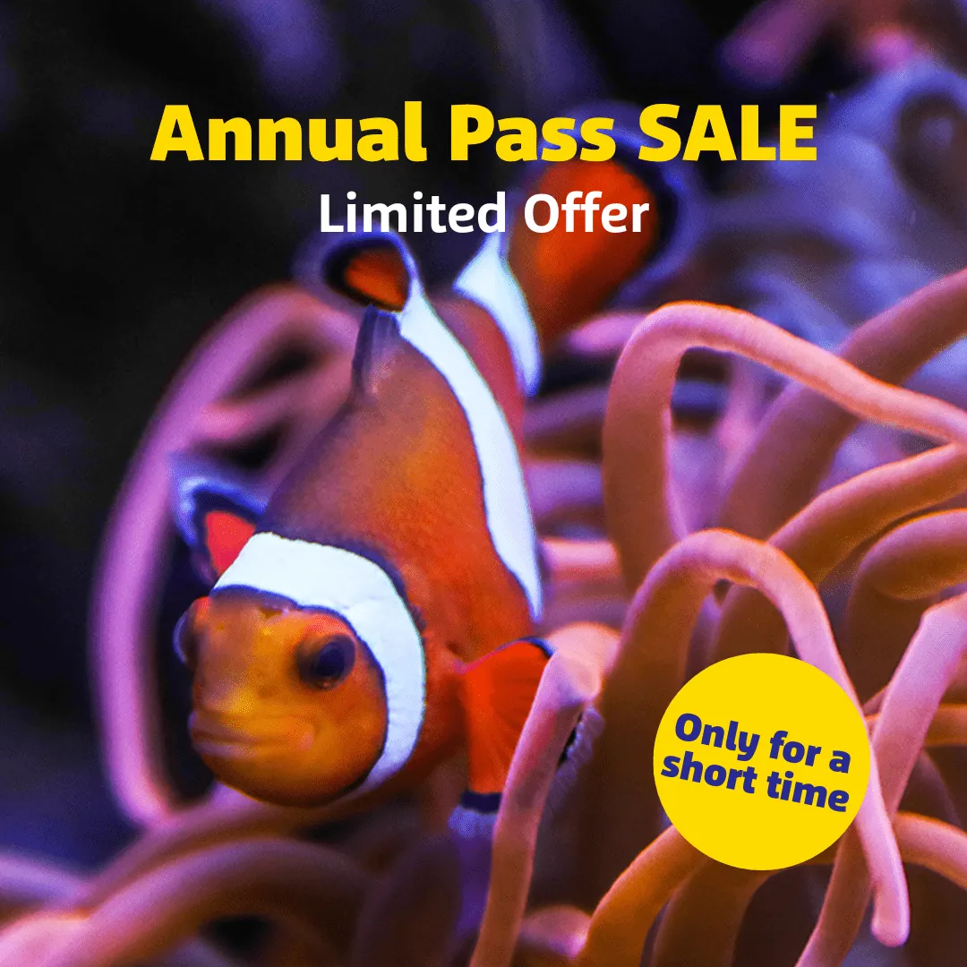 Home | 2€ Online Discount | SEA LIFE Hannover