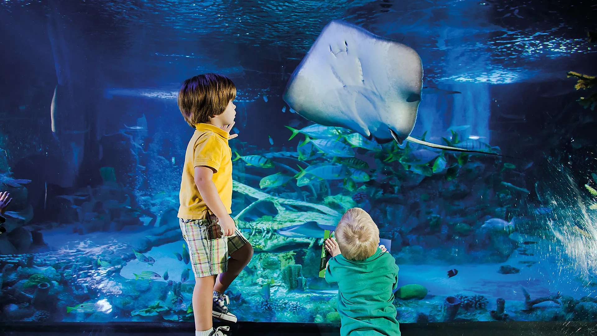 Homepage | SEA LIFE Helsinki