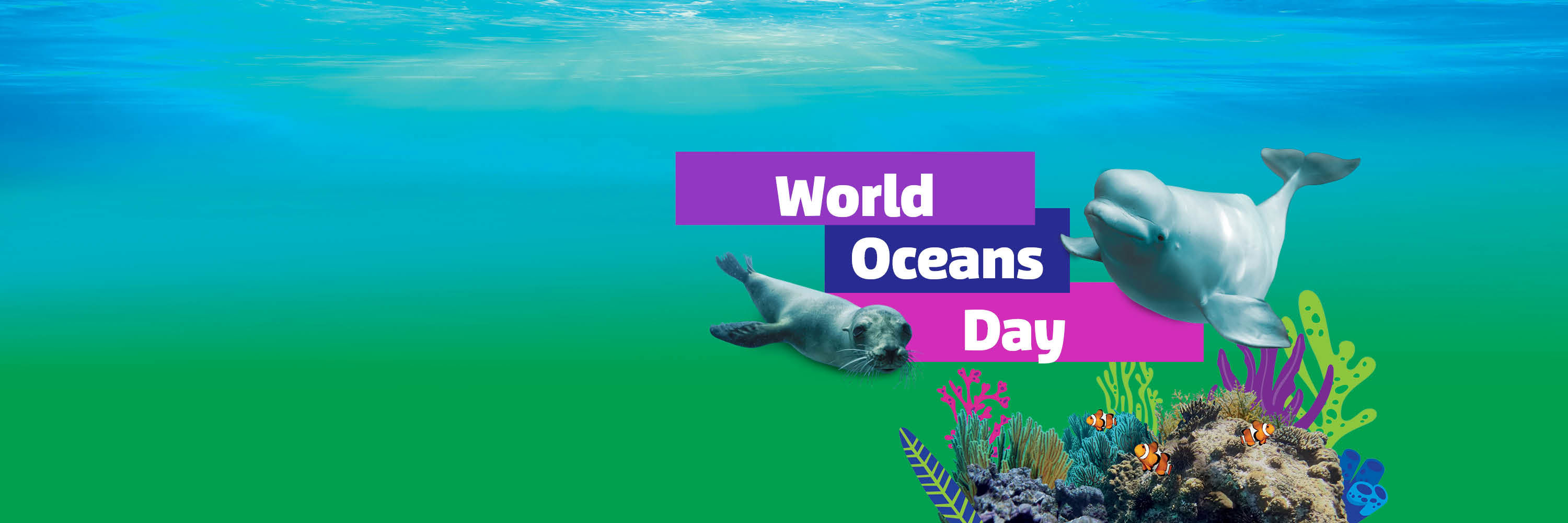 Homepage | SEA LIFE Helsinki