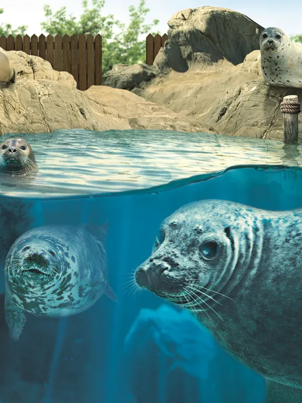 Visit SEA LIFE Hunstanton Sanctuary and Aquarium