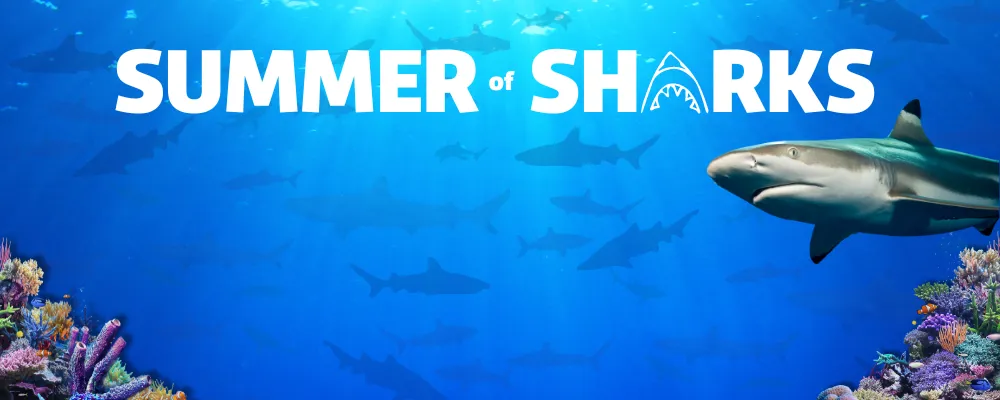 SEA LIFE Kansas City Aquarium | Aquarium at the Crown Center