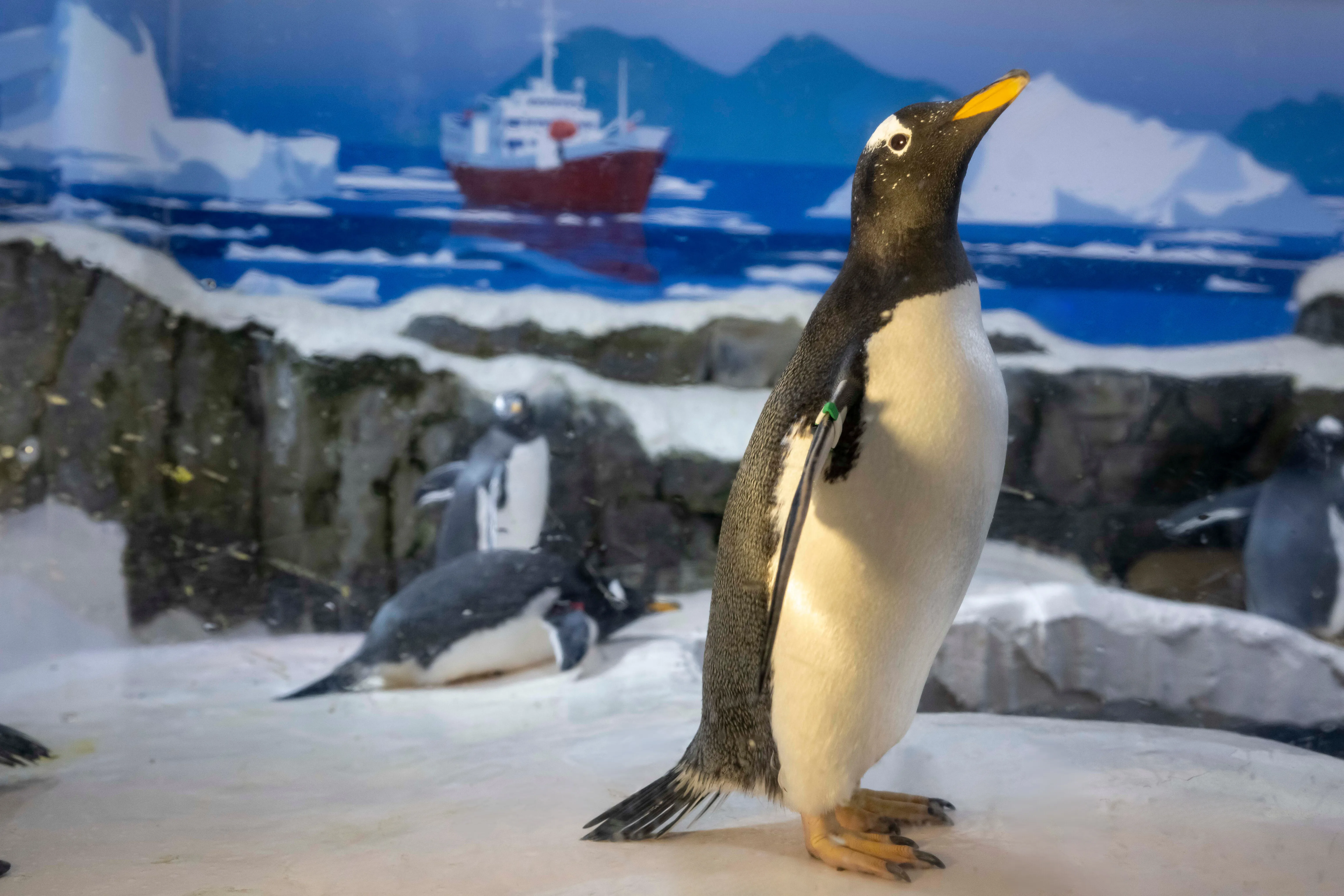 SEA LIFE Constance | The aquarium for the whole family