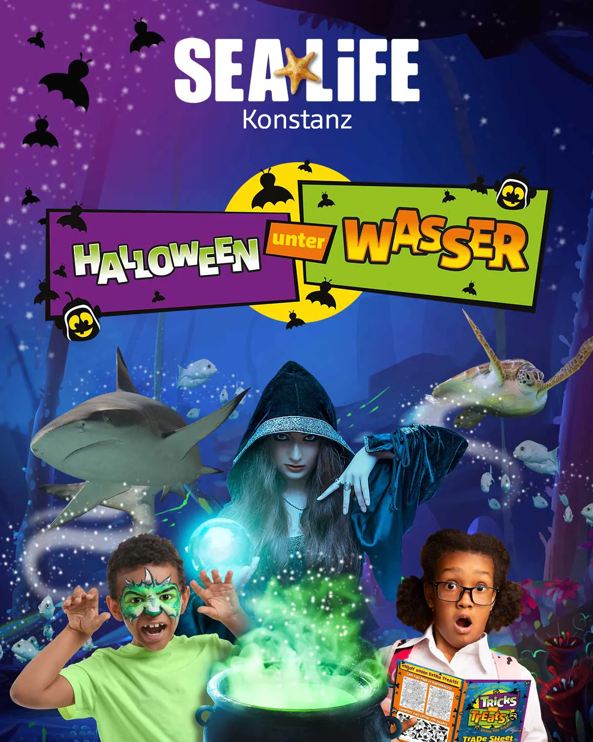 Events | SEA LIFE Constance