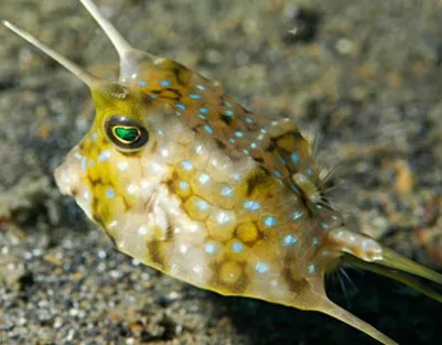 SEA LIFE Constance | The aquarium for the whole family