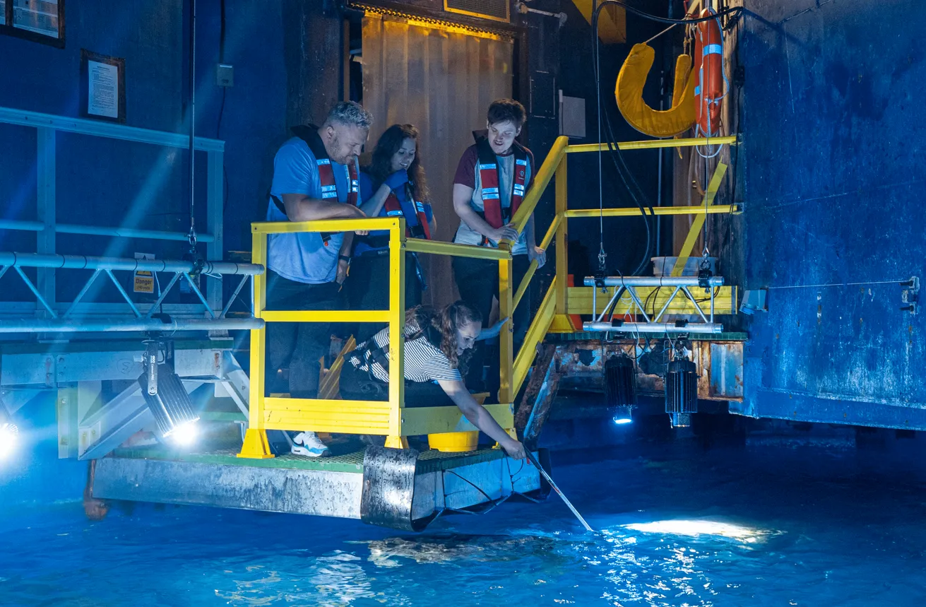 Turtle Experience | SEA LIFE London Aquarium