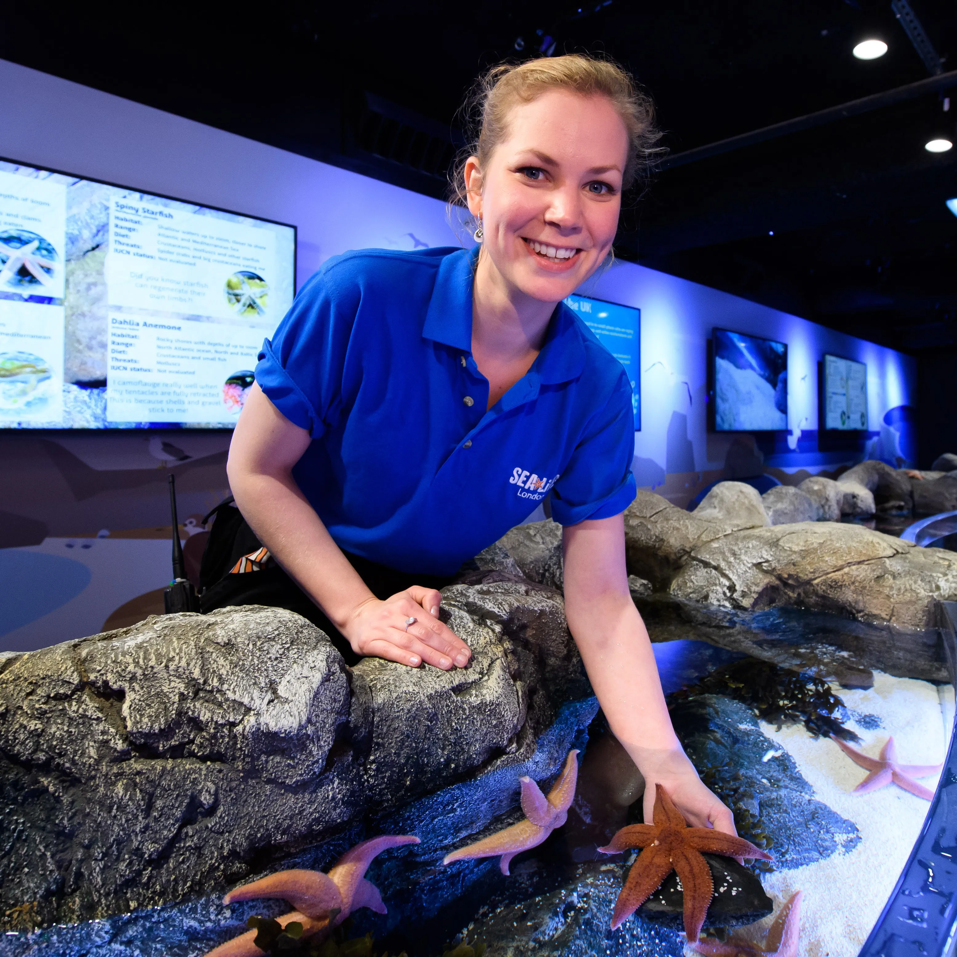 The only Rock Pool in London | SEA LIFE London Aquarium