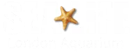 Visit Aquarium In London | SEA LIFE London