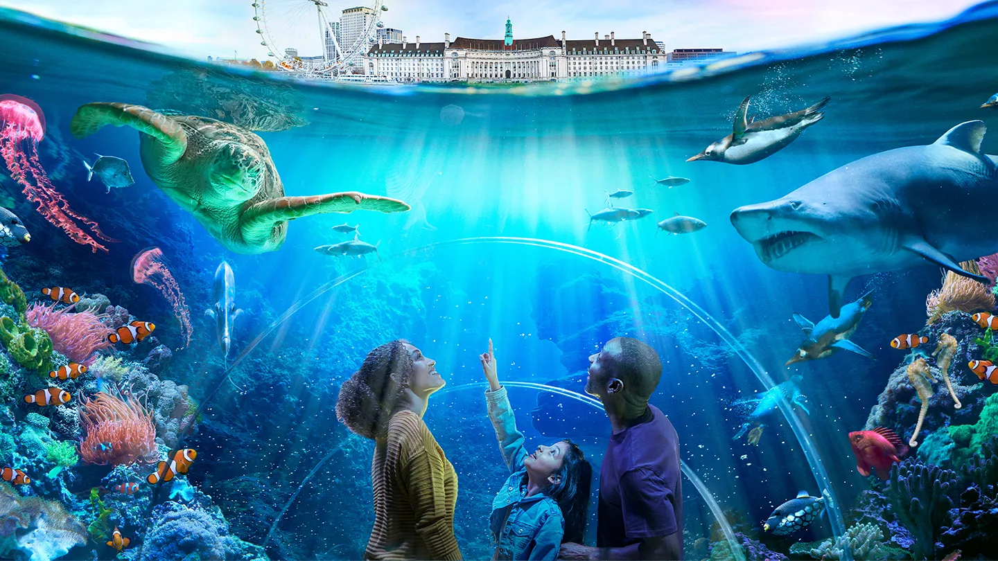 Visit Aquarium In London | SEA LIFE London