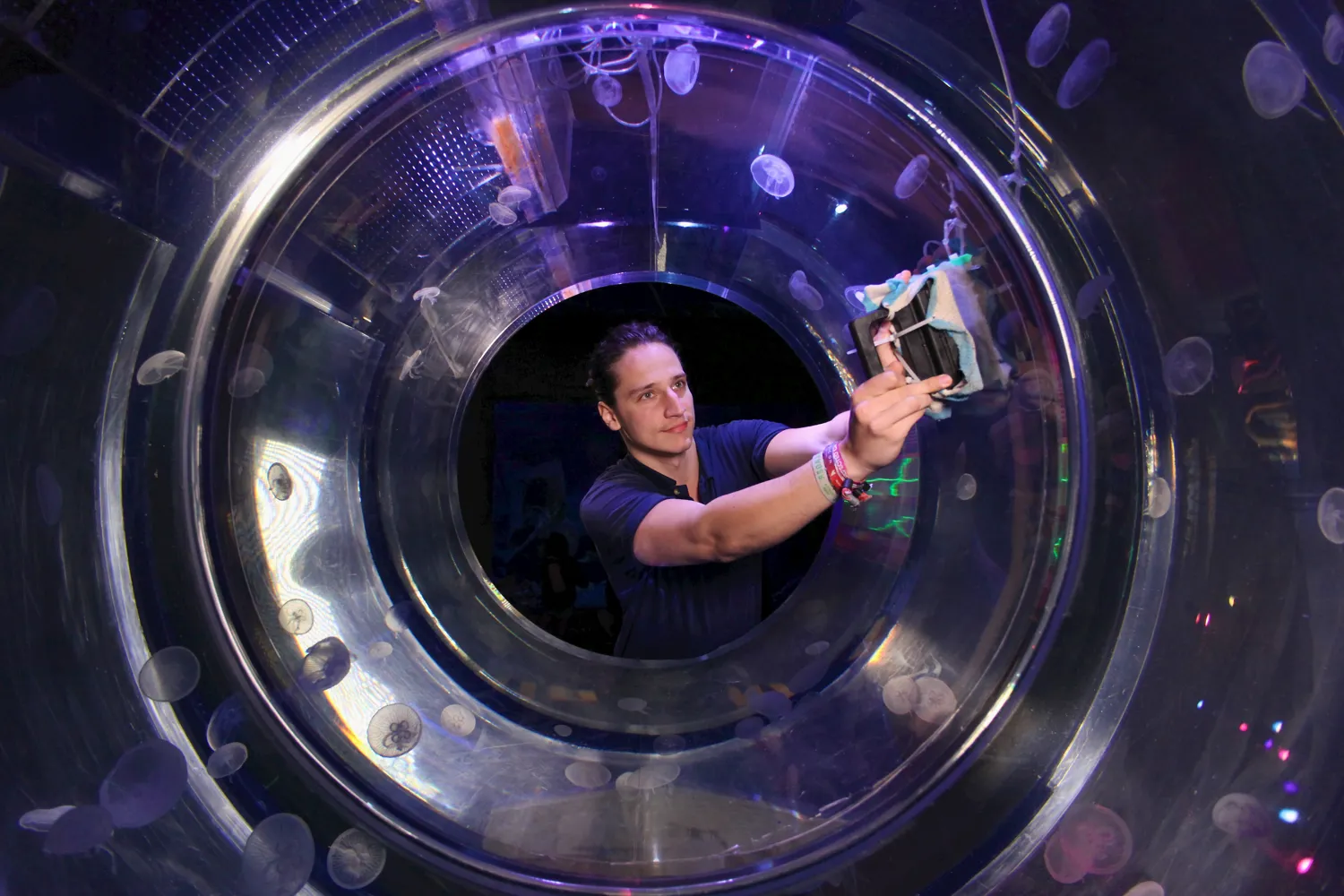 Meet our Aquarists | SEA LIFE Manchester Aquarium