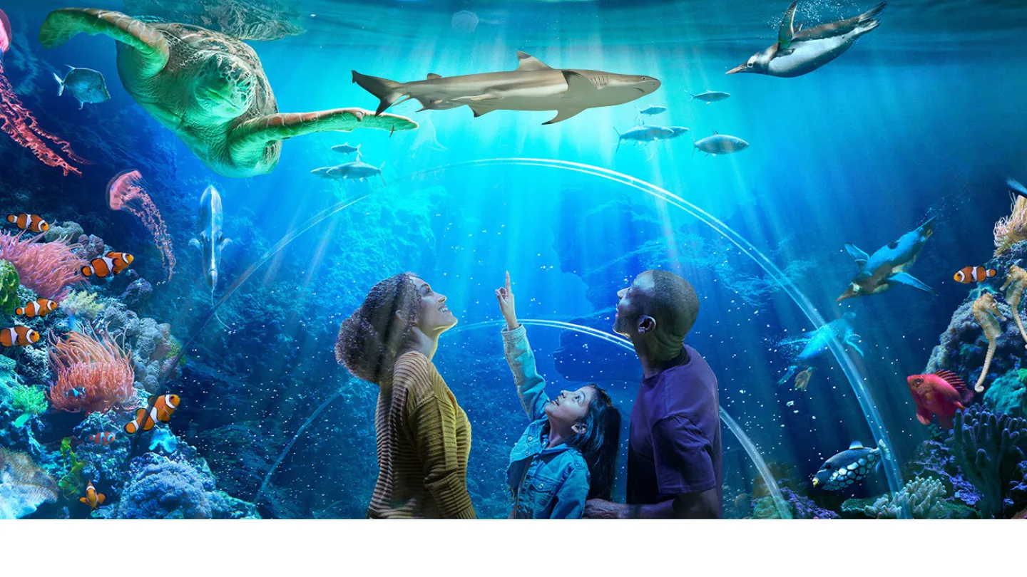 Visit SEA LIFE | Manchester Aquarium Trafford Palazzo