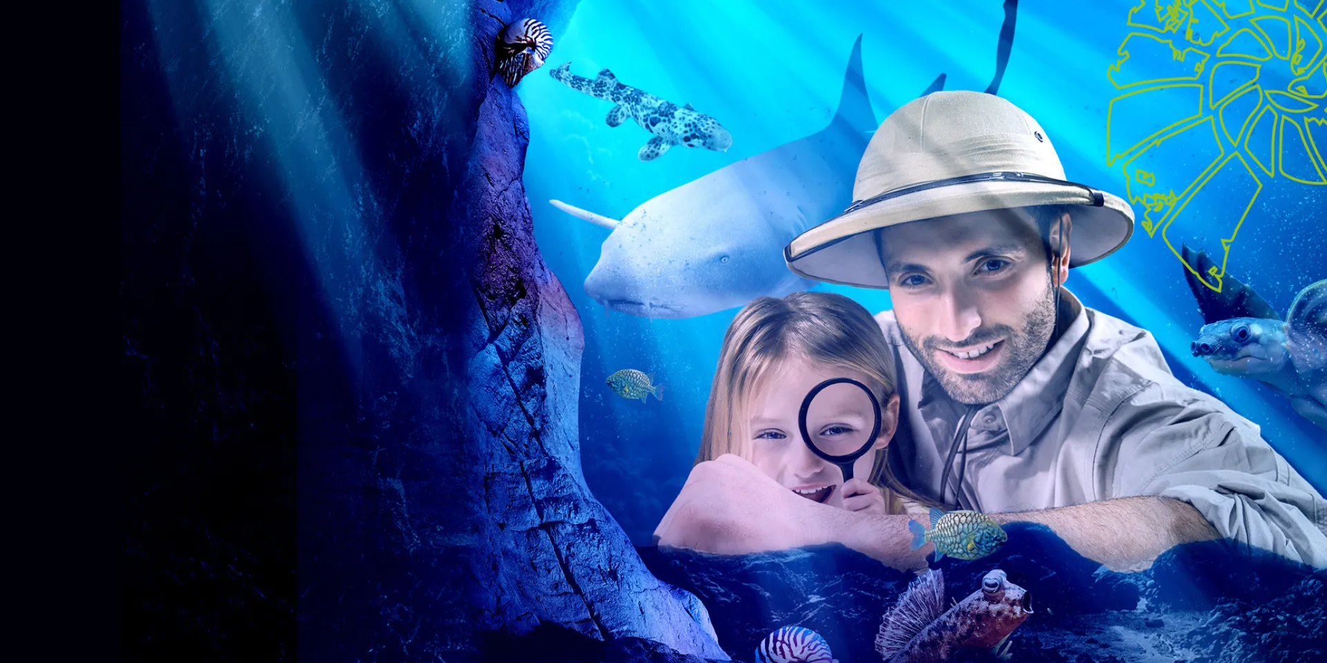 Visit SEA LIFE | Manchester Aquarium Trafford Palazzo