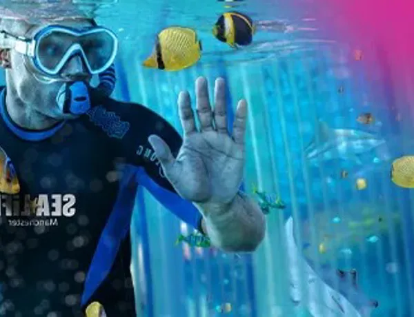 Visit SEA LIFE | Manchester Aquarium Trafford Centre