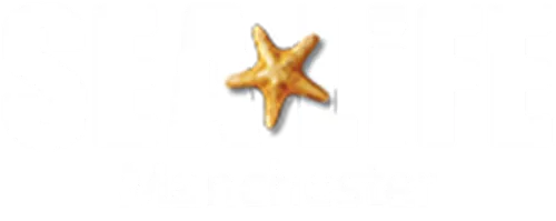 Visit SEA LIFE | Manchester Aquarium Trafford Palazzo