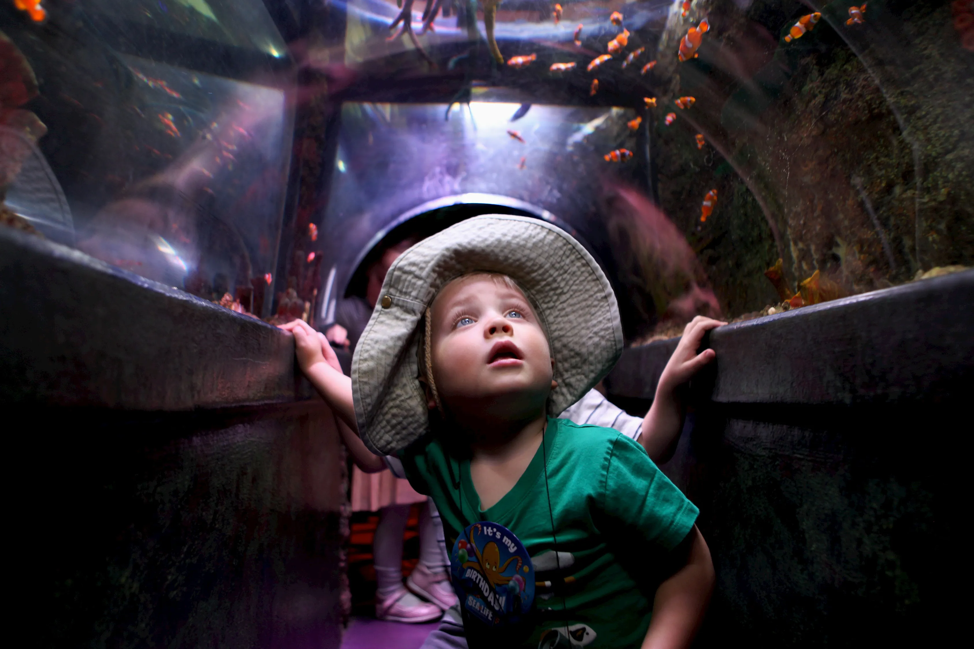 Visit SEA LIFE | Manchester Aquarium Trafford Palazzo