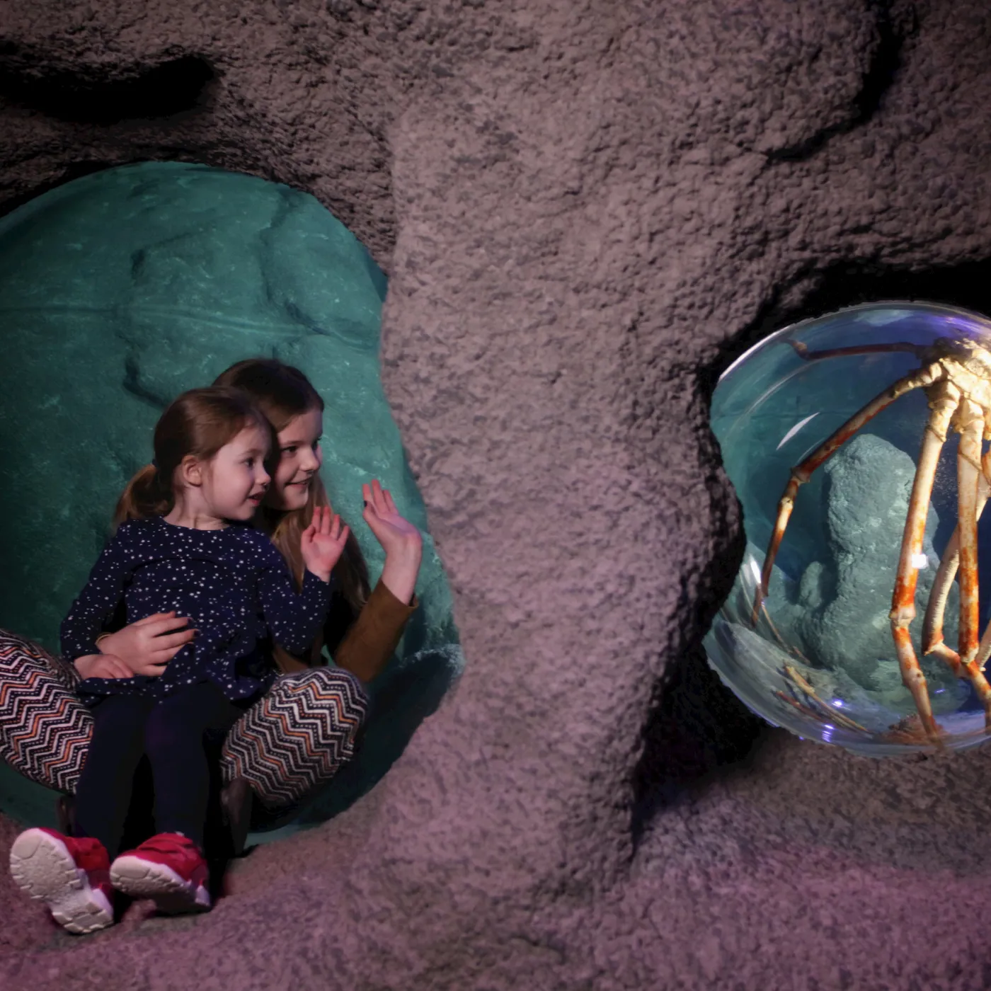 Visit SEA LIFE | Manchester Aquarium Trafford Centre