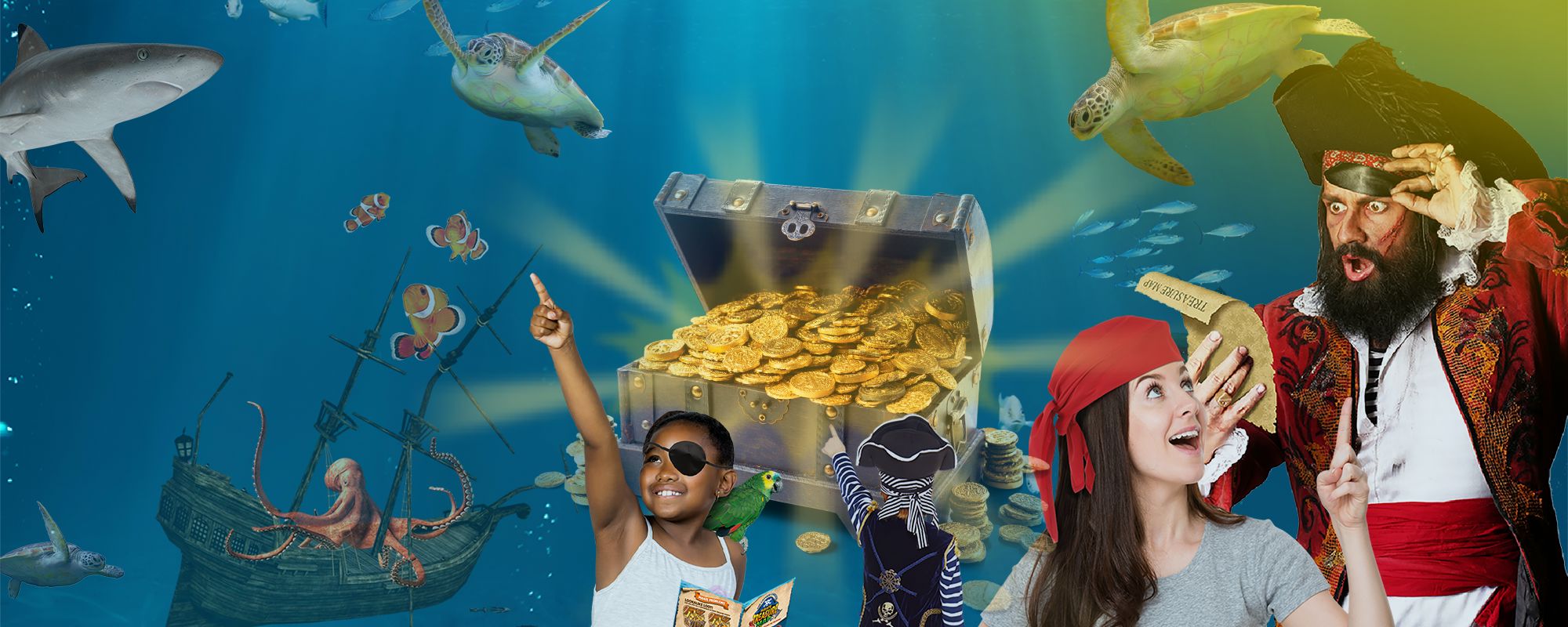 Visit SEA LIFE | Manchester Aquarium Trafford Palazzo