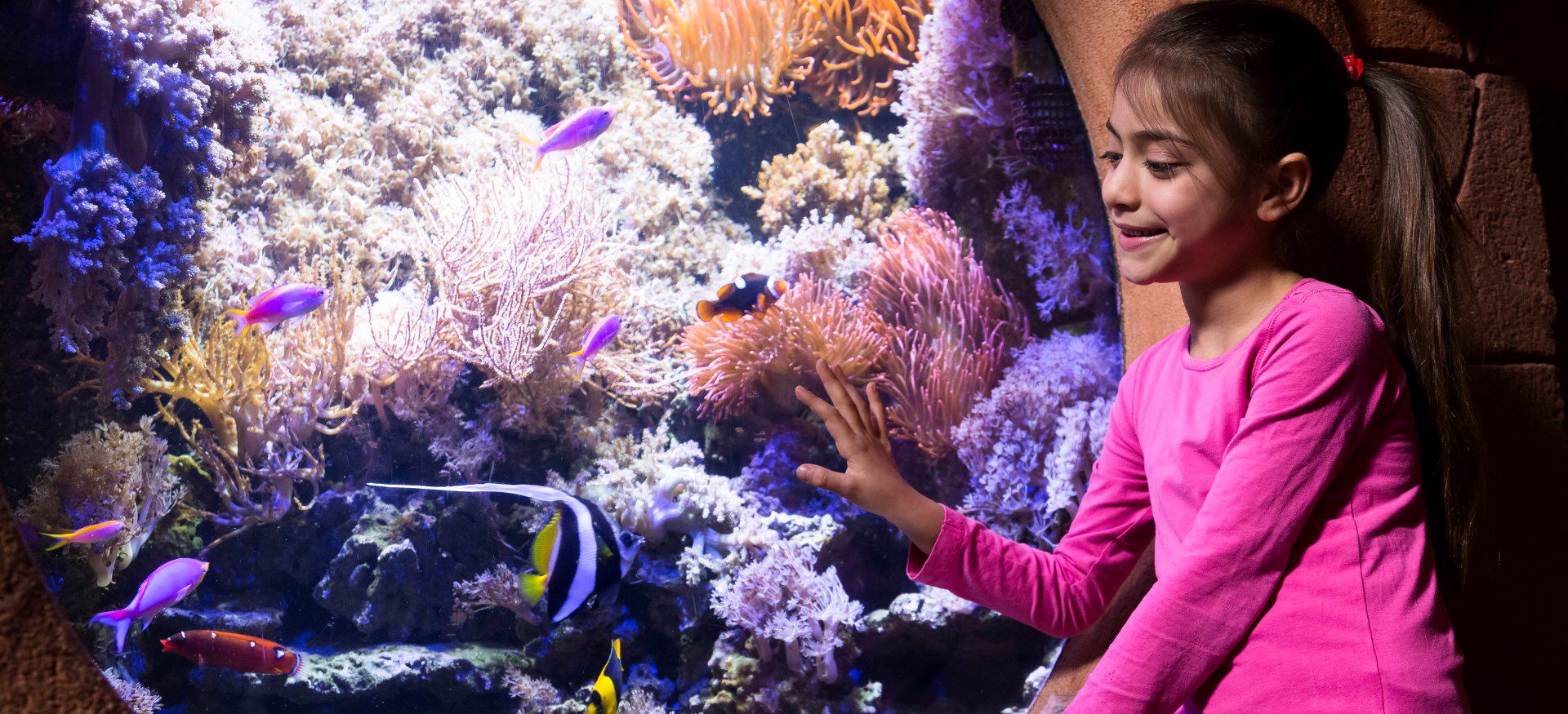 SEA LIFE Königswinter | SEA LIFE Aquarien