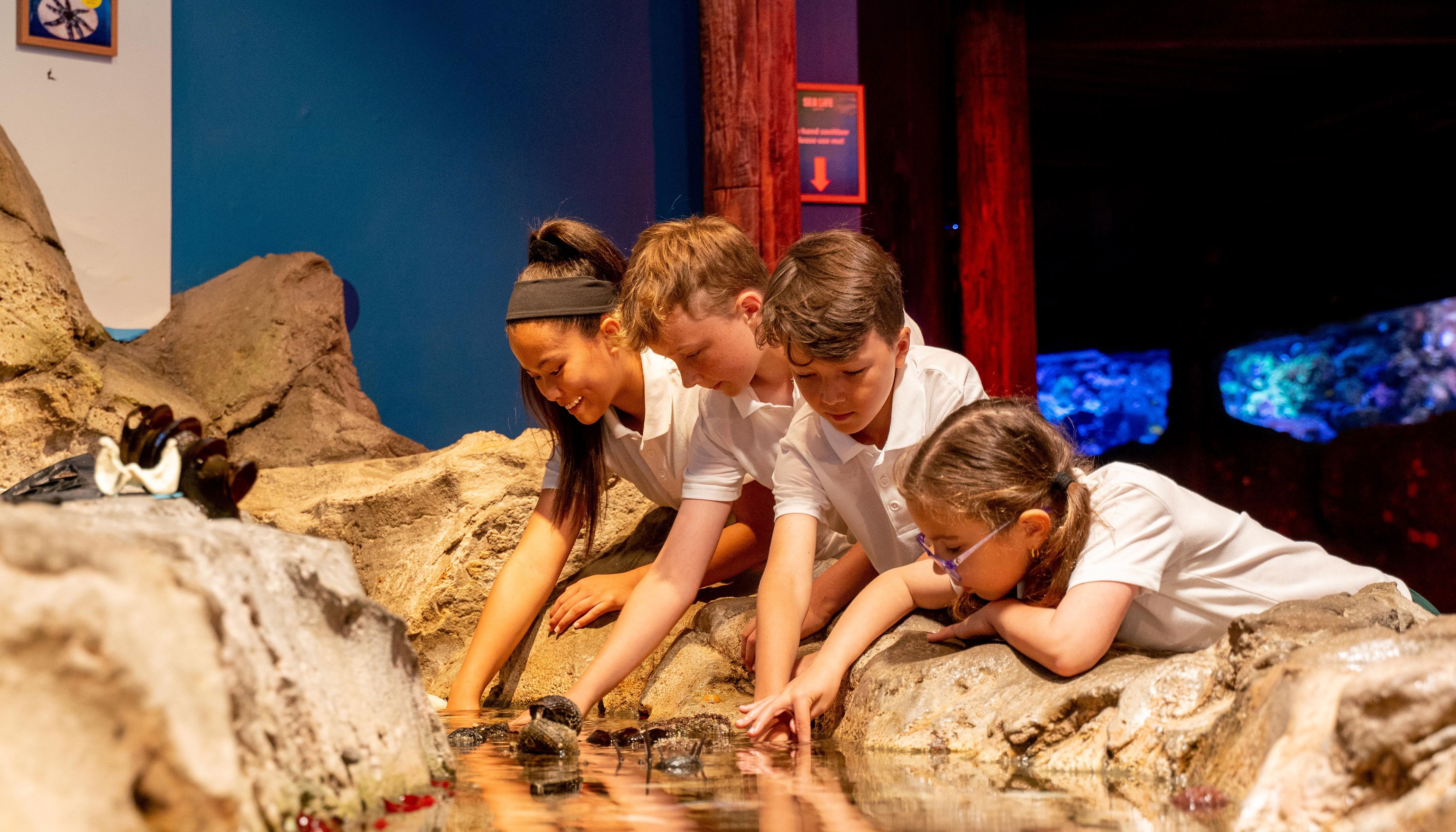 Marine Pests | SEA LIFE Melbourne Aquarium