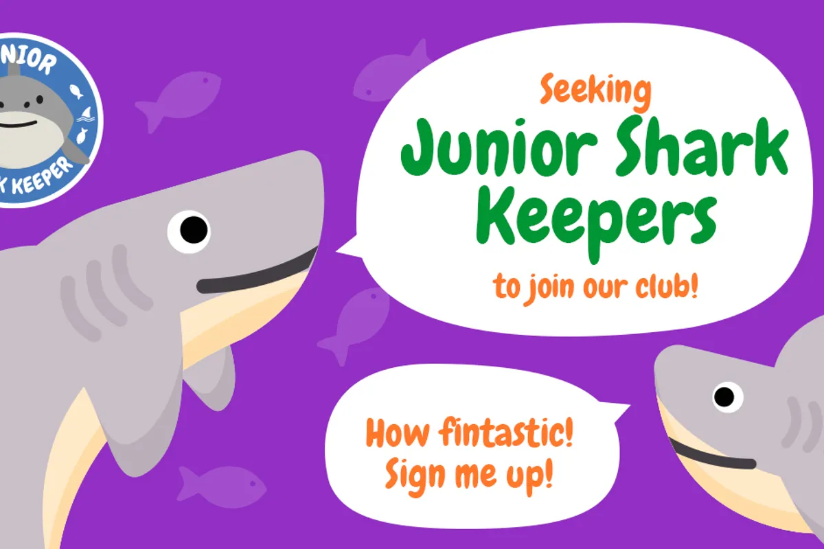 Junior Shark Keepers | SEA LIFE Melbourne Aquarium
