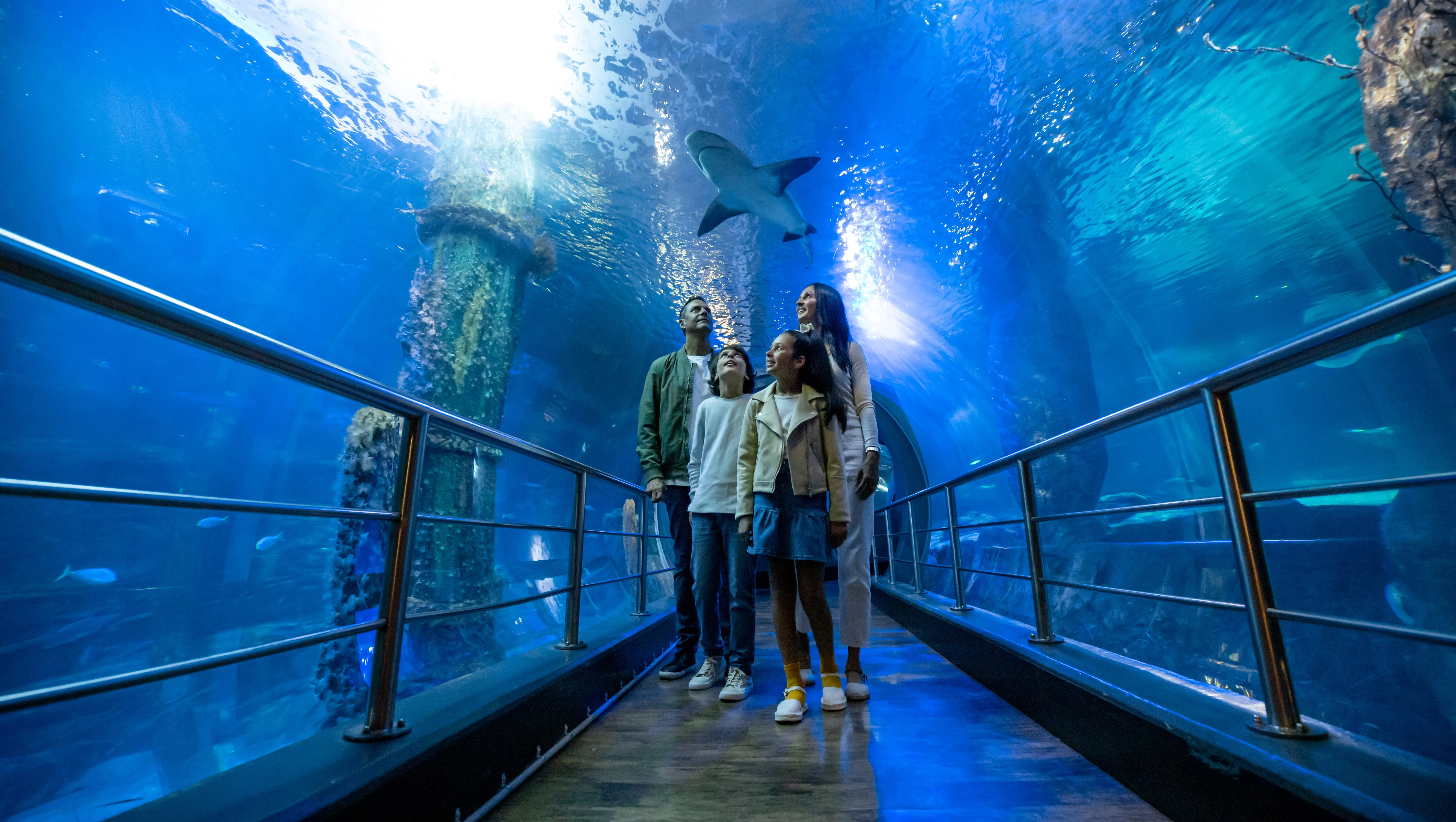 Jobs & Work Openings in Melbourne | SEA LIFE Melbourne Aquarium