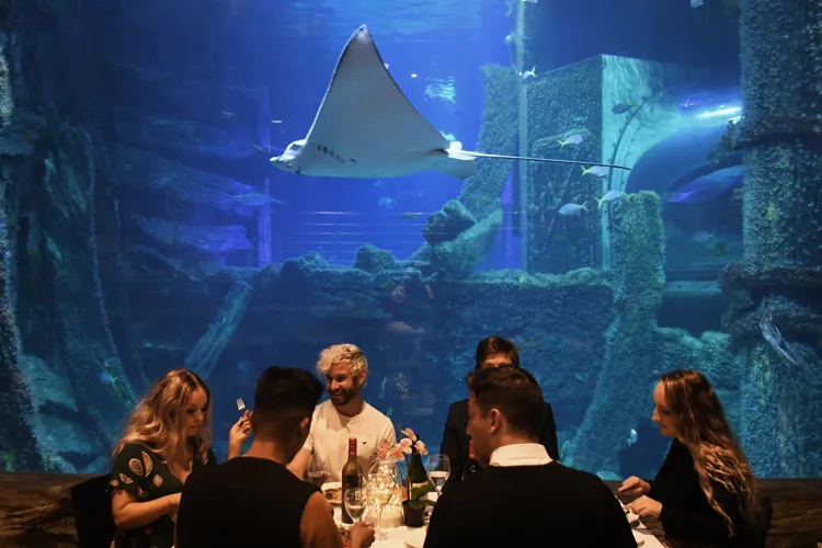 Private Dining Experience | SEA LIFE Melbourne Aquarium