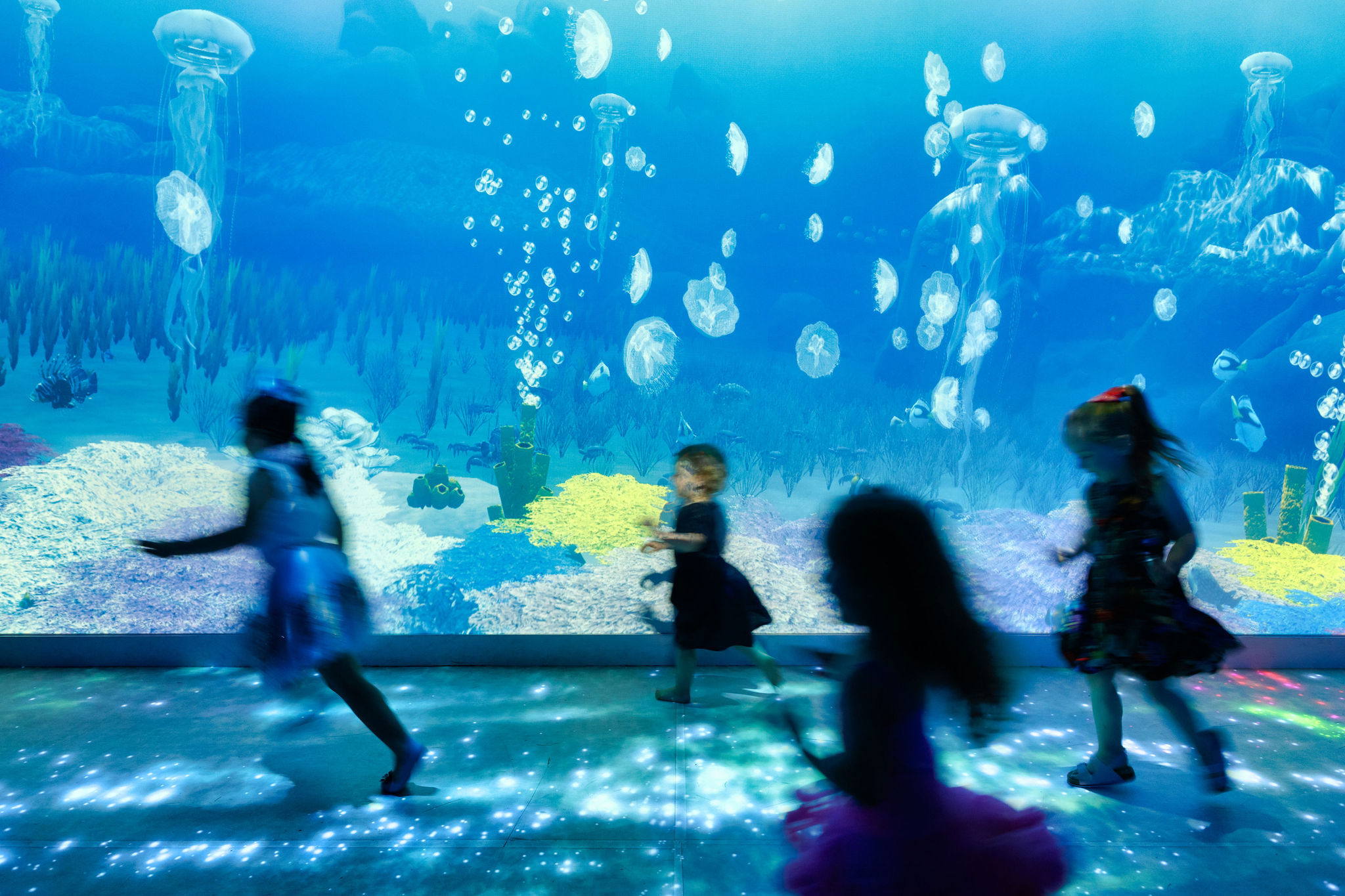SEA LIFE Live | SEA LIFE Melbourne Aquarium