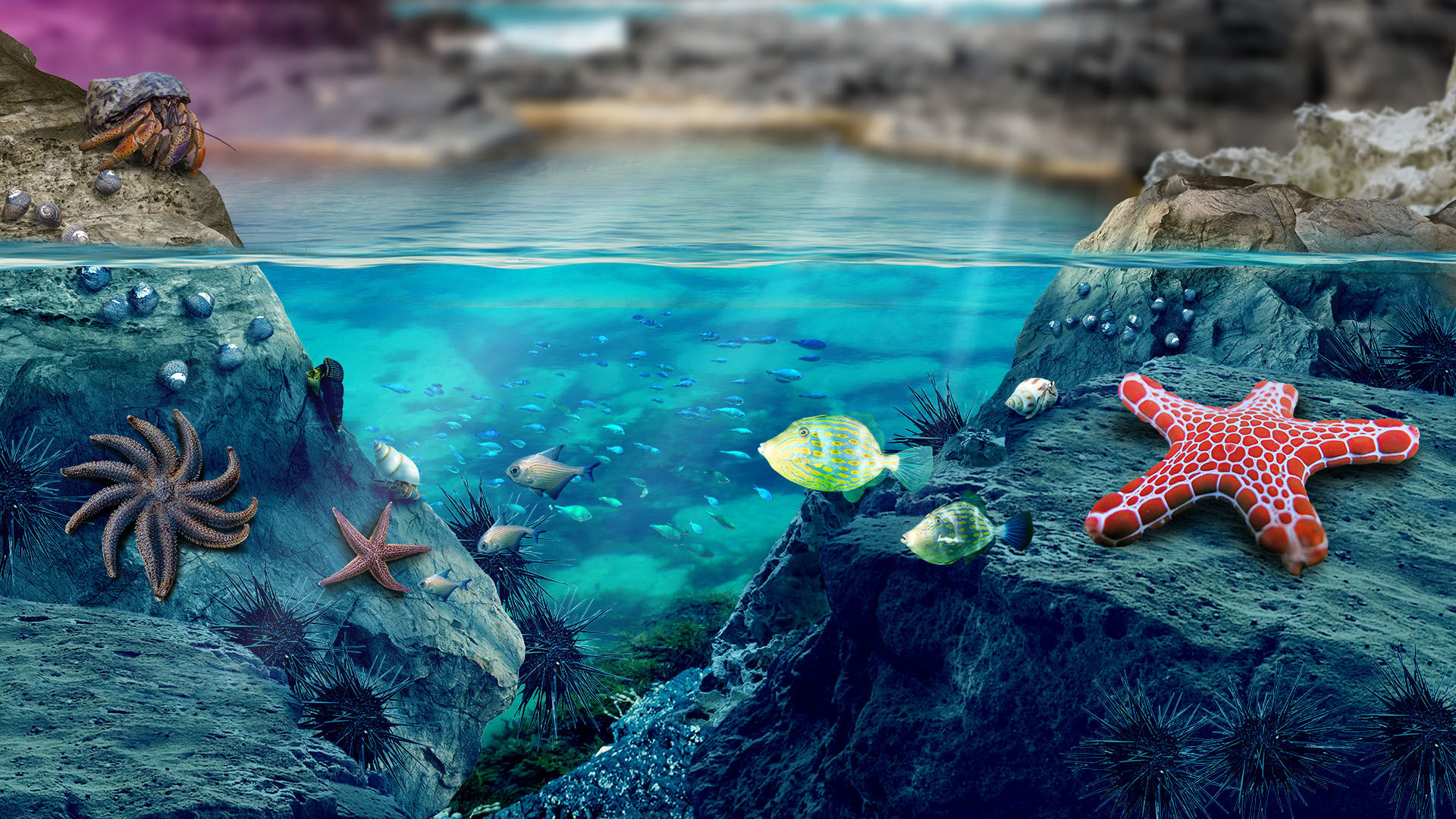 SEA LIFE Melbourne Aquarium - Official Website