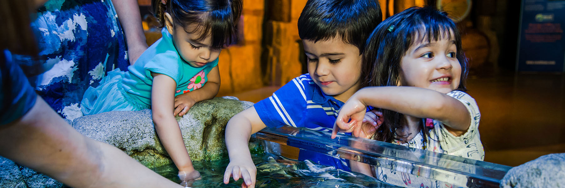 Toddler Time | Things to Do with Pre-Schoolers | SEA LIFE Michigan Aquarium