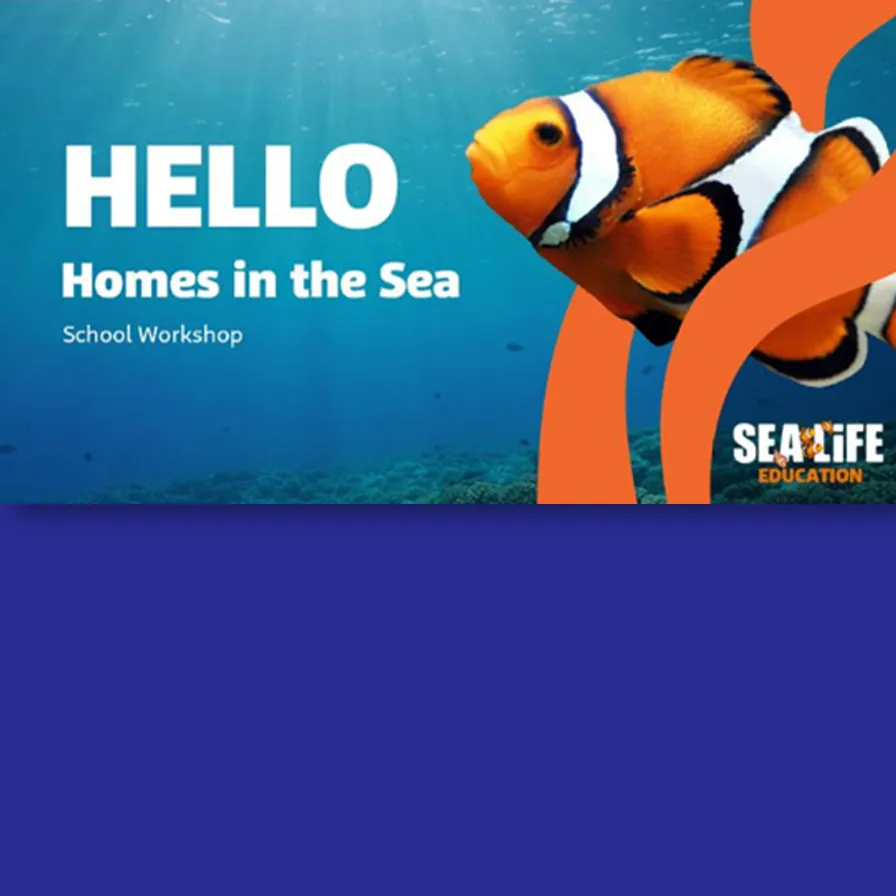 Education Workshops | SEA LIFE at Mall of America