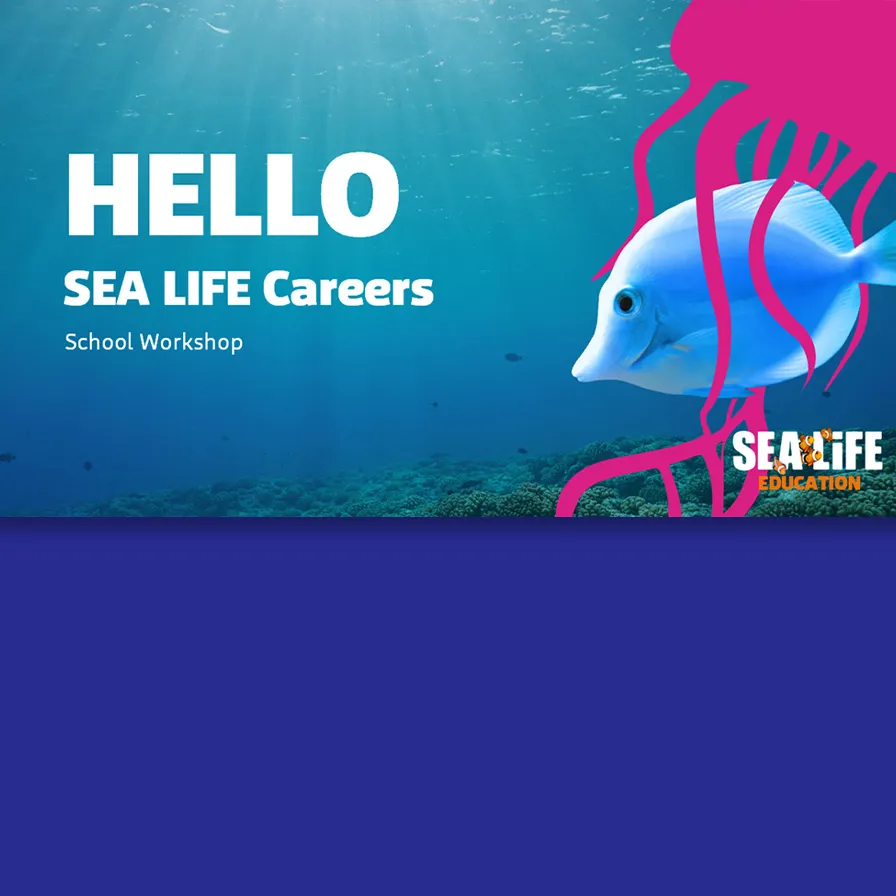 Education Workshops | SEA LIFE at Mall of America