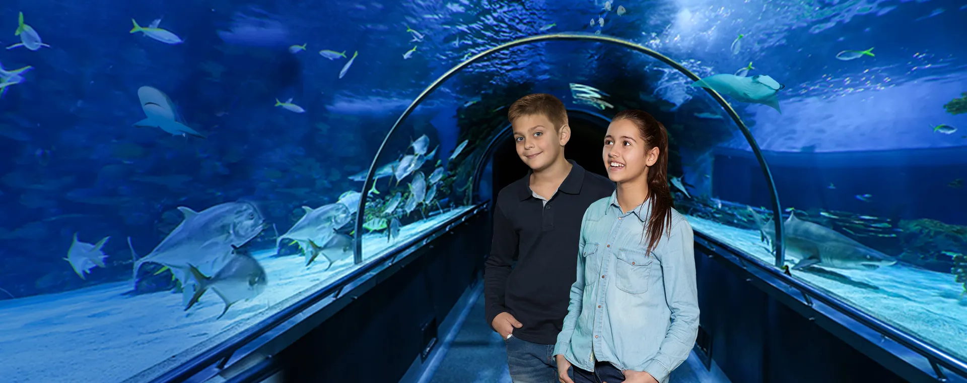 Sea Life Munchen Parken